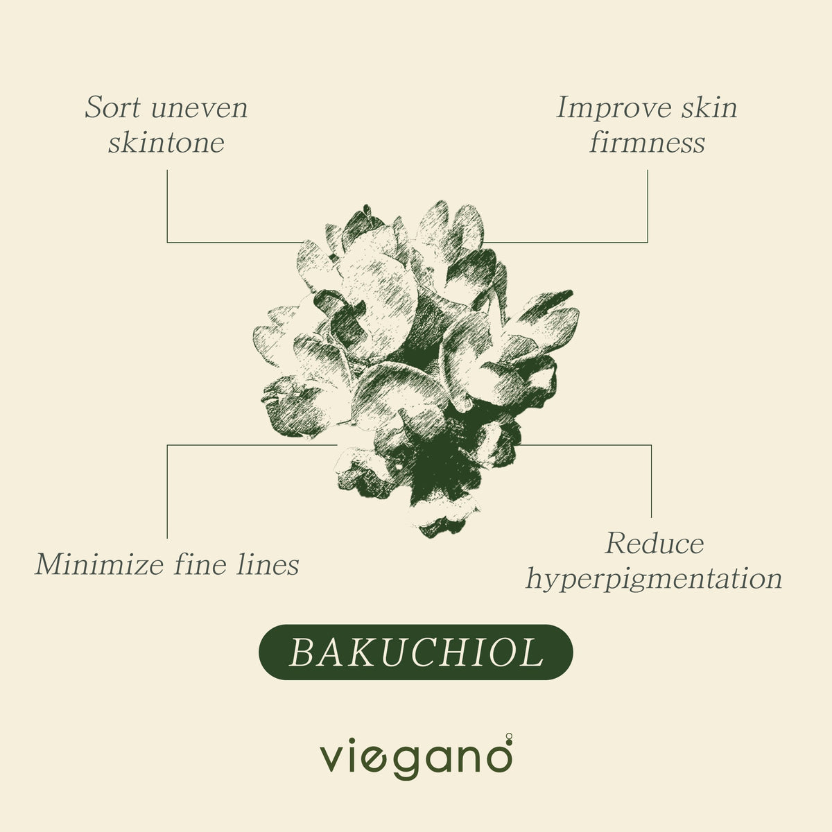 Get Glowing Skin with Bakuchiol: The Natural Skincare Ingredient – Viegano